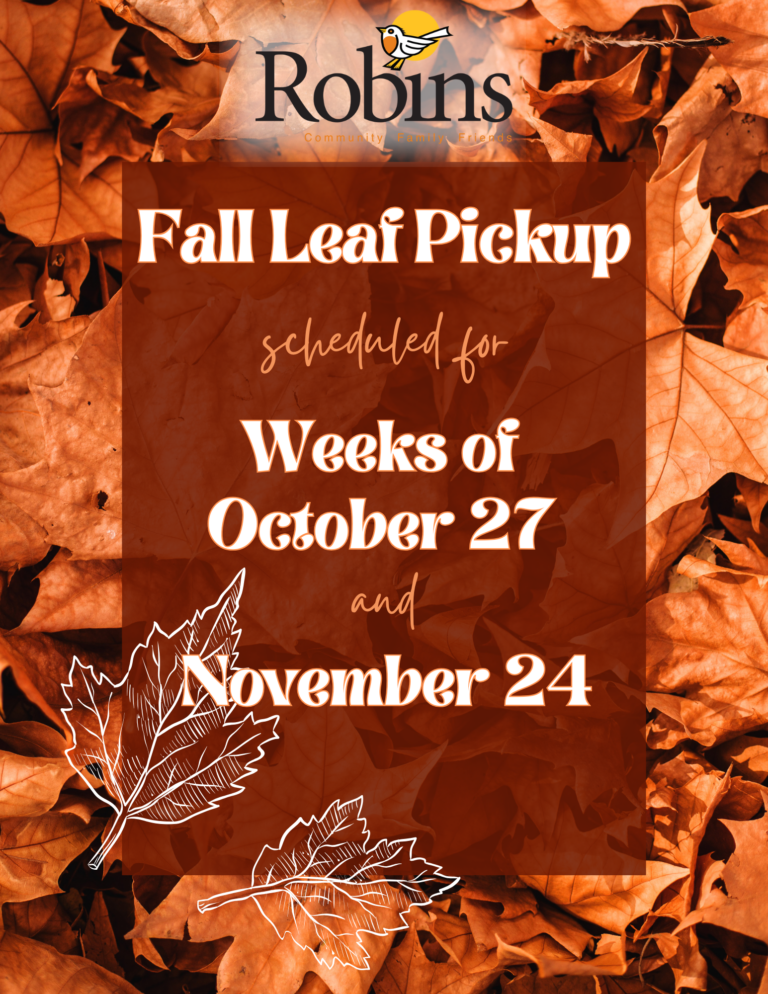 Fall Leaf Pick Up - Round 2 | City of Robins